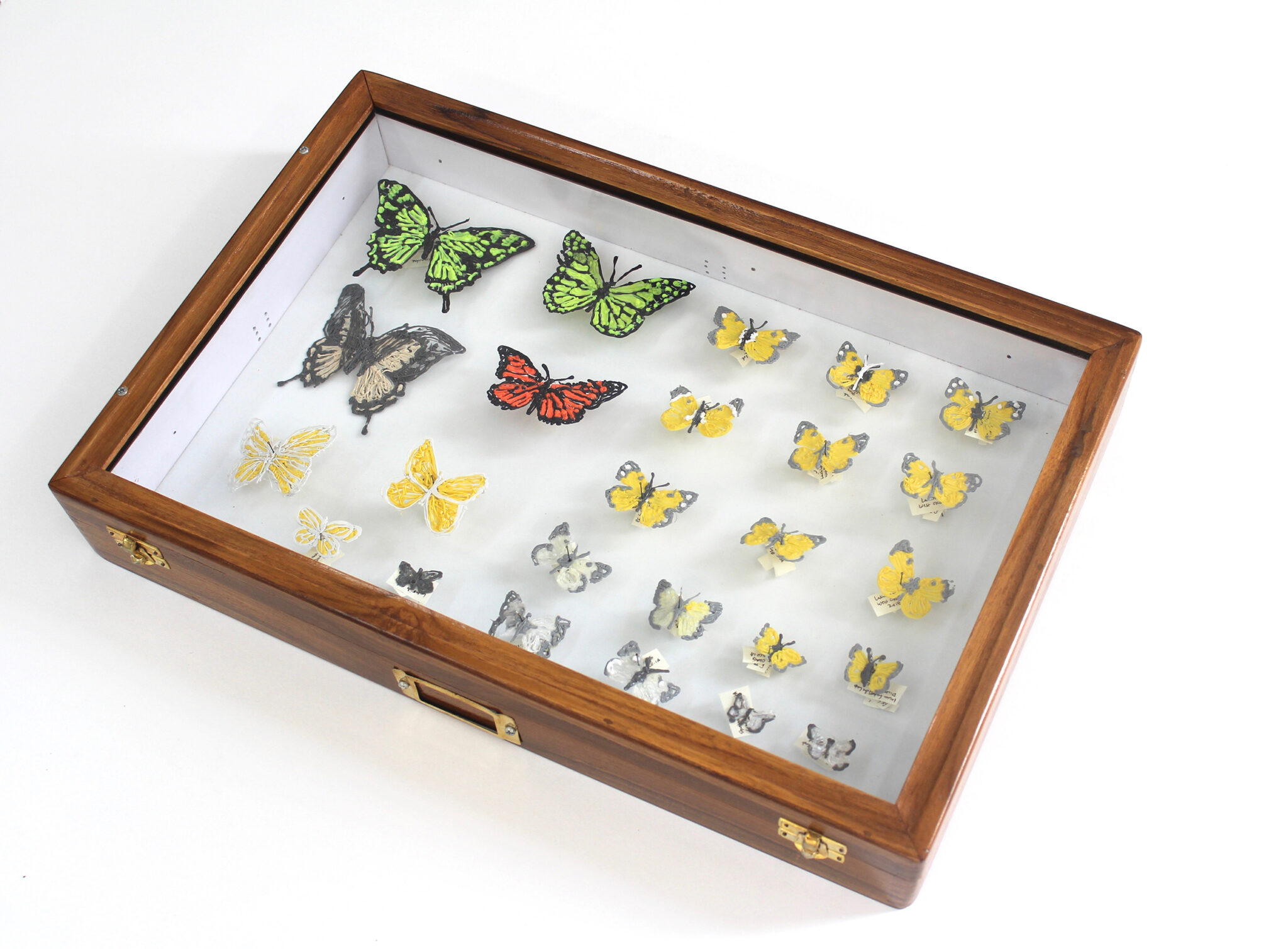 Insect Chart – Richelle Ellis