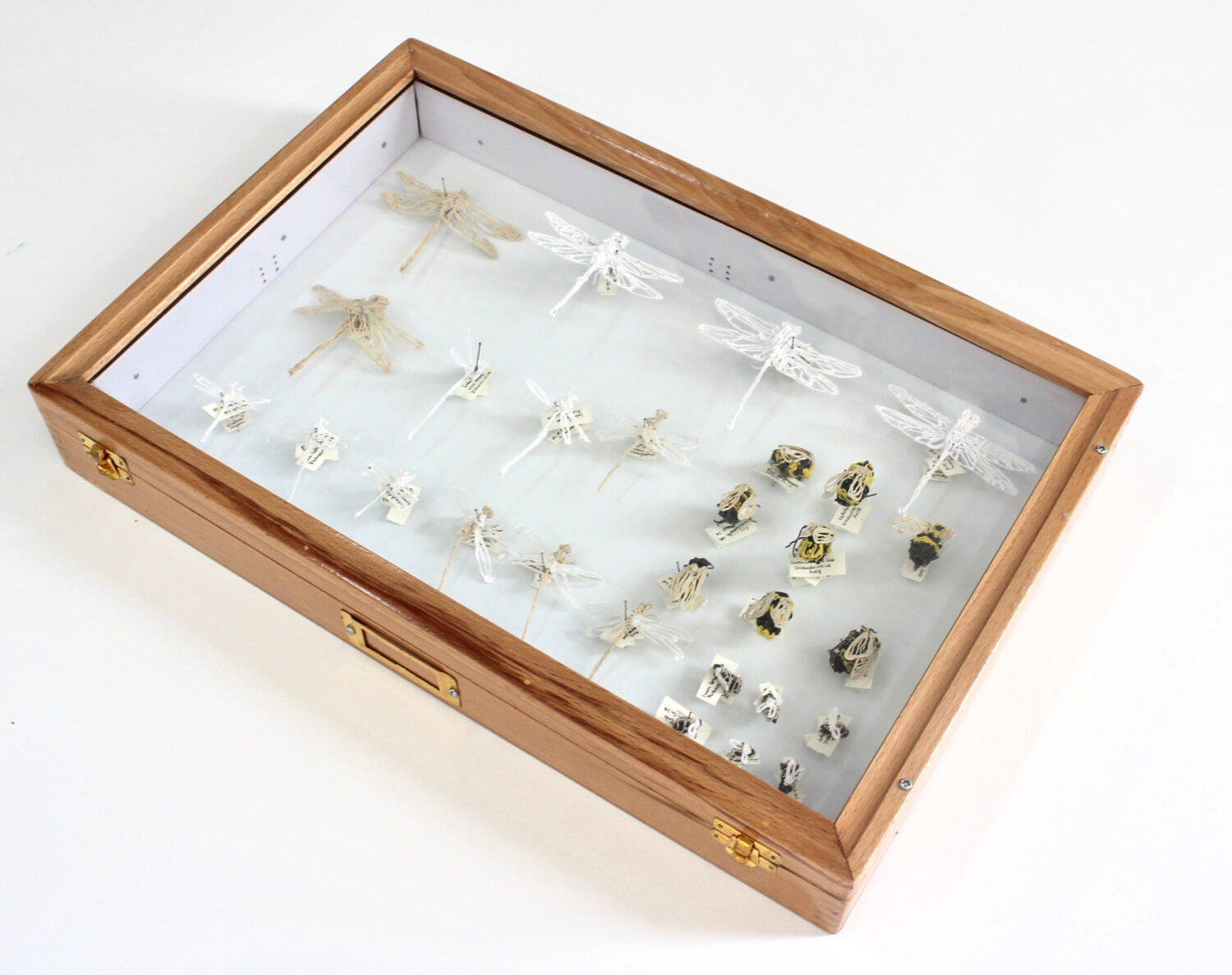 Insect Chart – Richelle Ellis