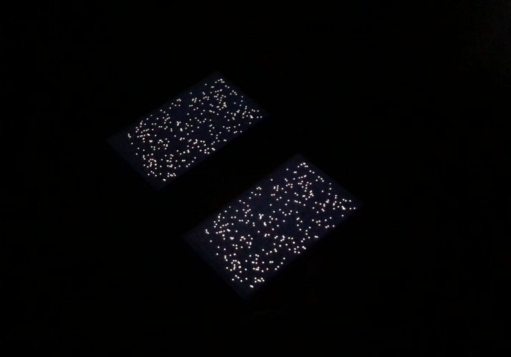 Firefly Simulation – Richelle Ellis