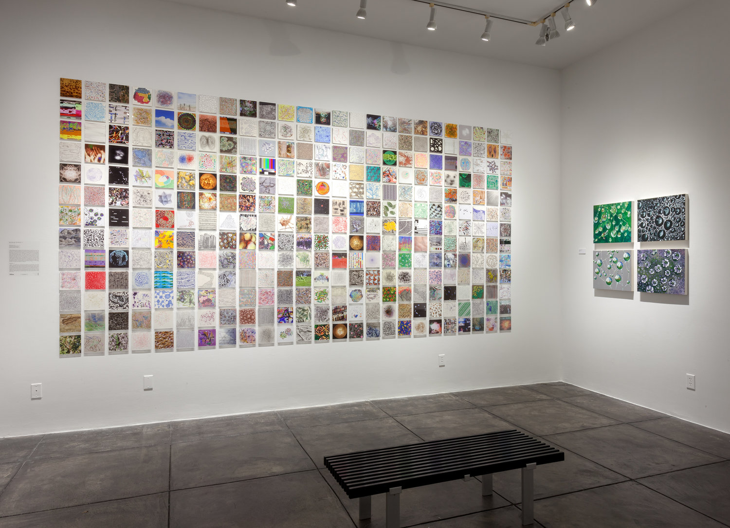 Networked Life – Richelle Ellis